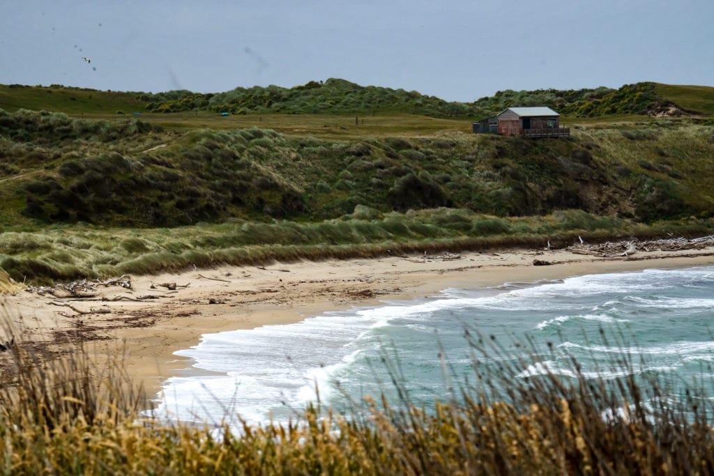 The Fortrose Cliffs – Gateway to the Catlins | Traxplorio