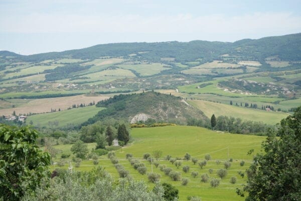 Things to do in Contignano | Traxplorio